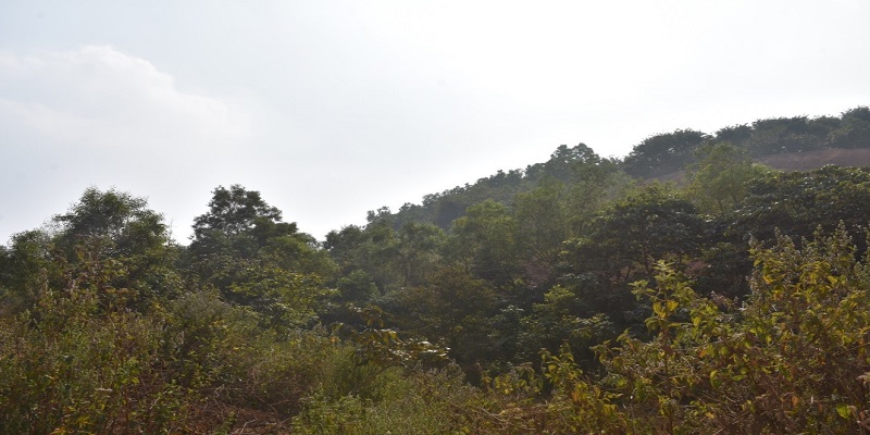 Environment Management Division | SAIL